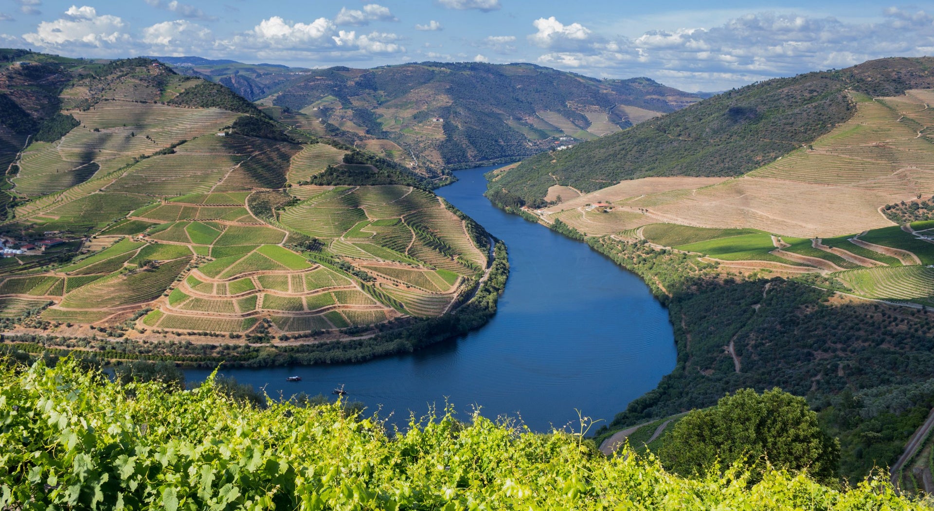 Douro Wine Region – Pacheca Group